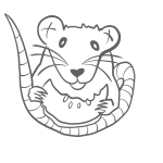 Salade mimosa (végétarien, vegan)